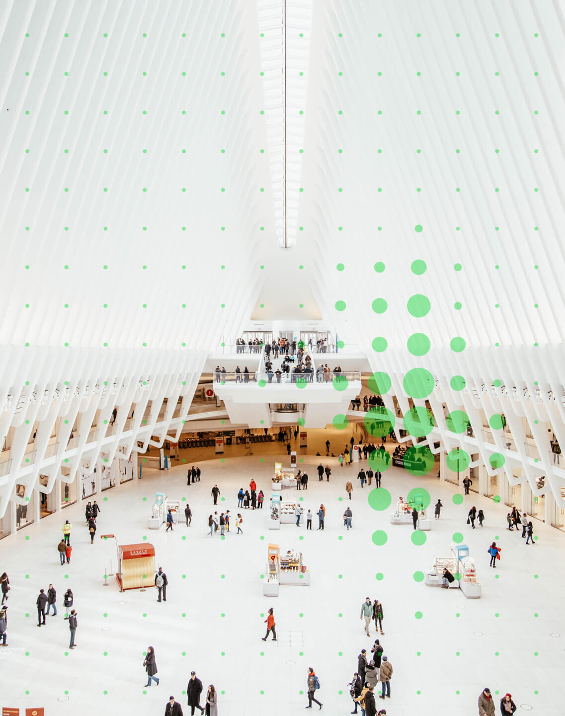 FutureFridays: A chance for everyone | infogr8